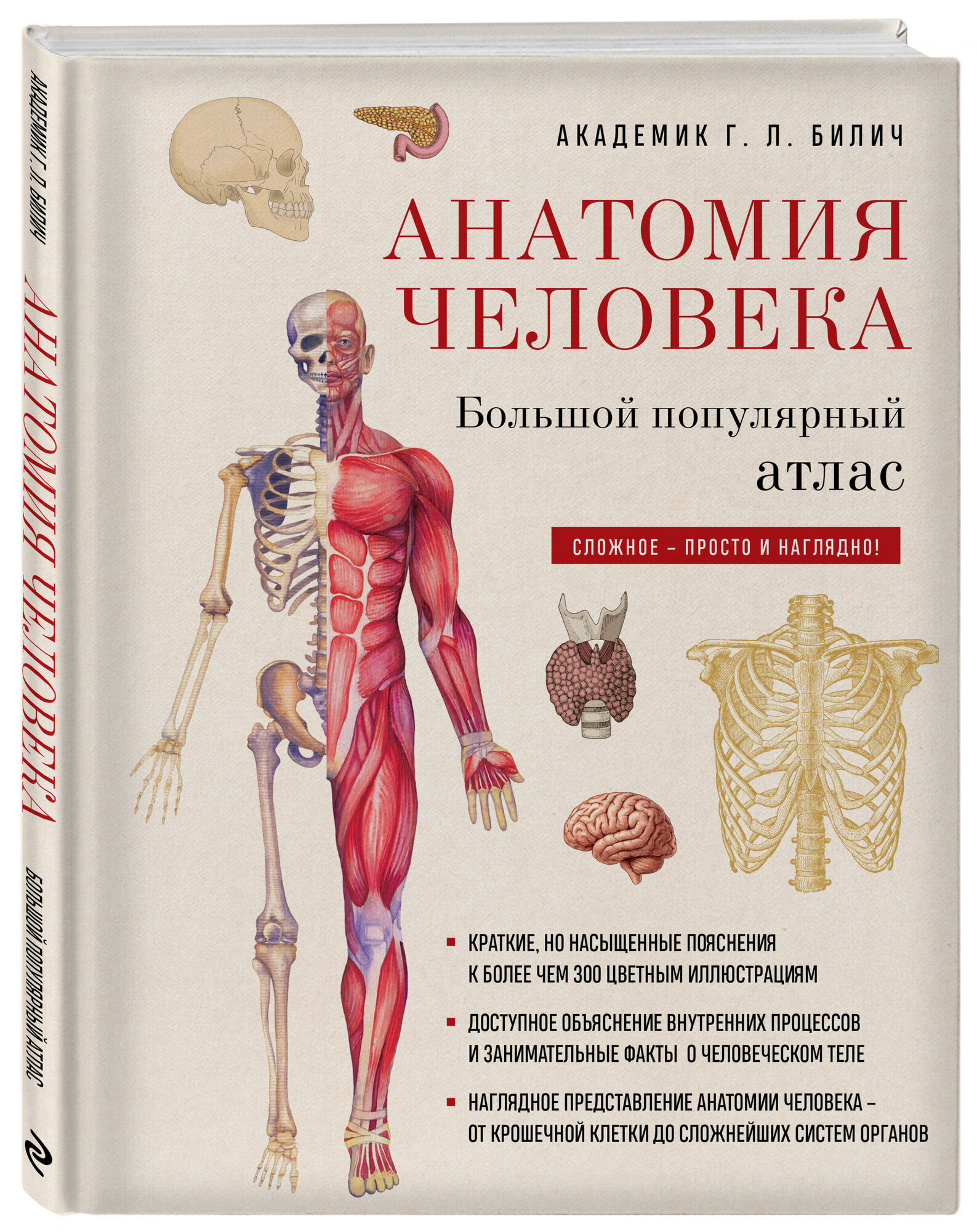 Билич Г. Л. Анатомия человека: большой популярный атлас (новое оформление)