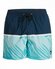 Шорты спортивные Quiksilver, размер S, серый