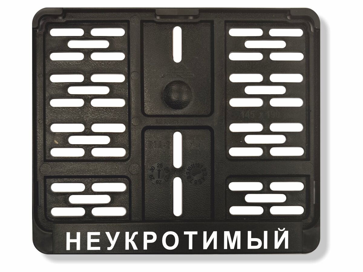 Рамка для номера мотоцикла R1A-2 "неукротимый", Арт рэйсинг