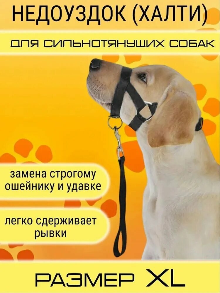Недоуздок для собак крупных, средних, мелких пород / Намордник халти