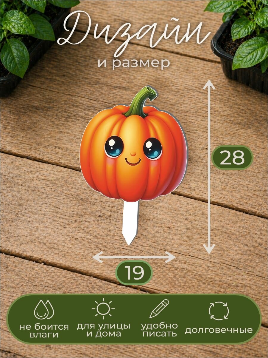 Фигурки для сада Тыква - Vegetable — фото 1
