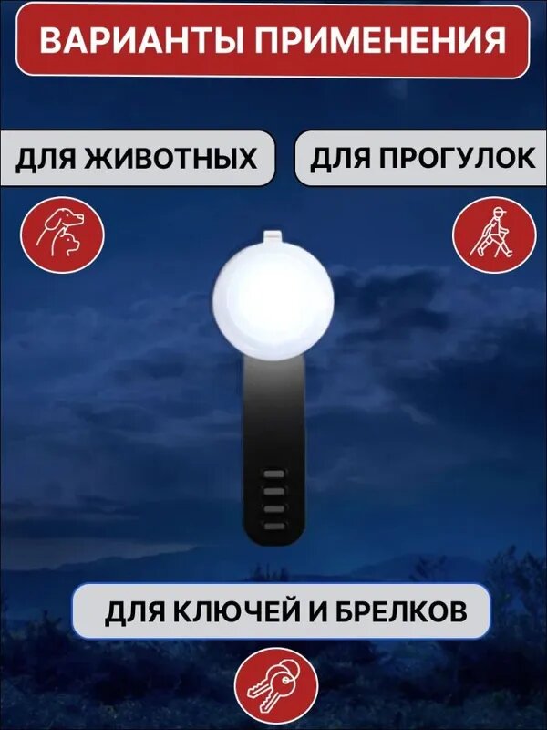 Брелок на ошейник — фото 1