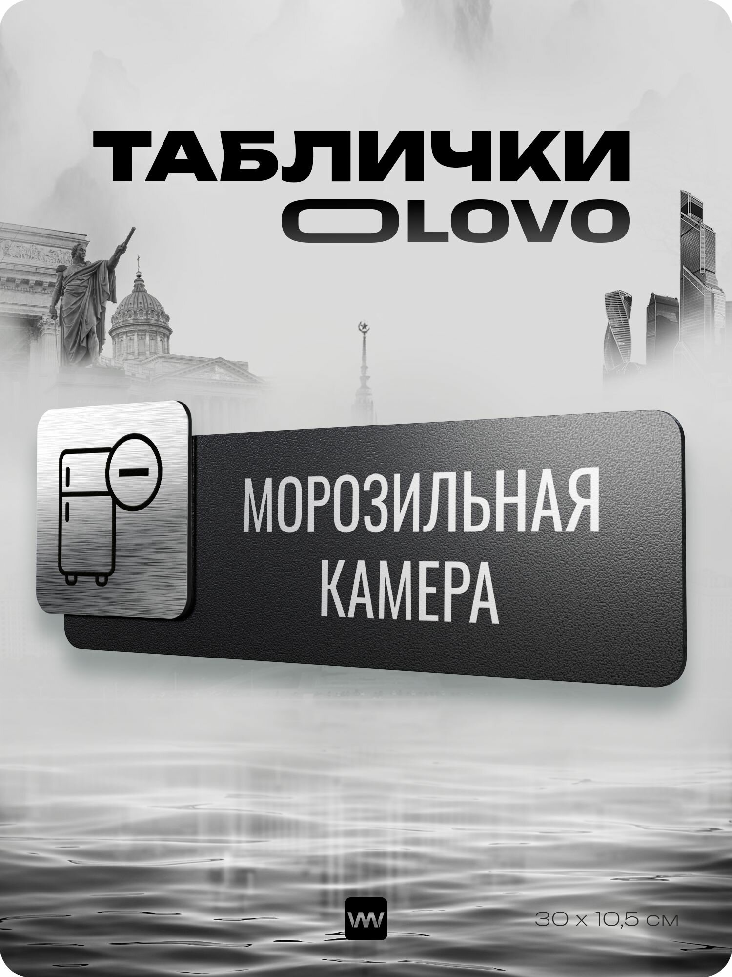 Табличка "Морозильная камера" на дверь, для офиса, общественного места, серия OLOVO/олово SLV, Айдентика Технолоджи