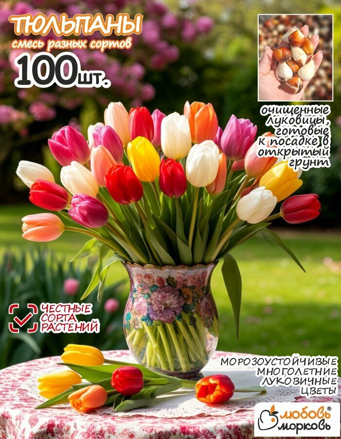 Тюльпаны очищенные Любовь Морковь, микс сортов, многолетние, 100 штук