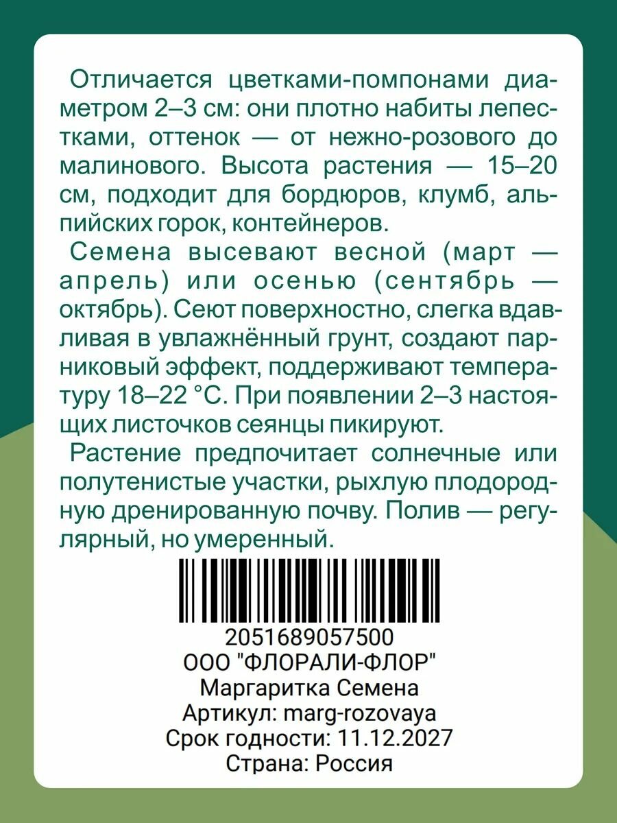 Маргаритка Семена — фото 1