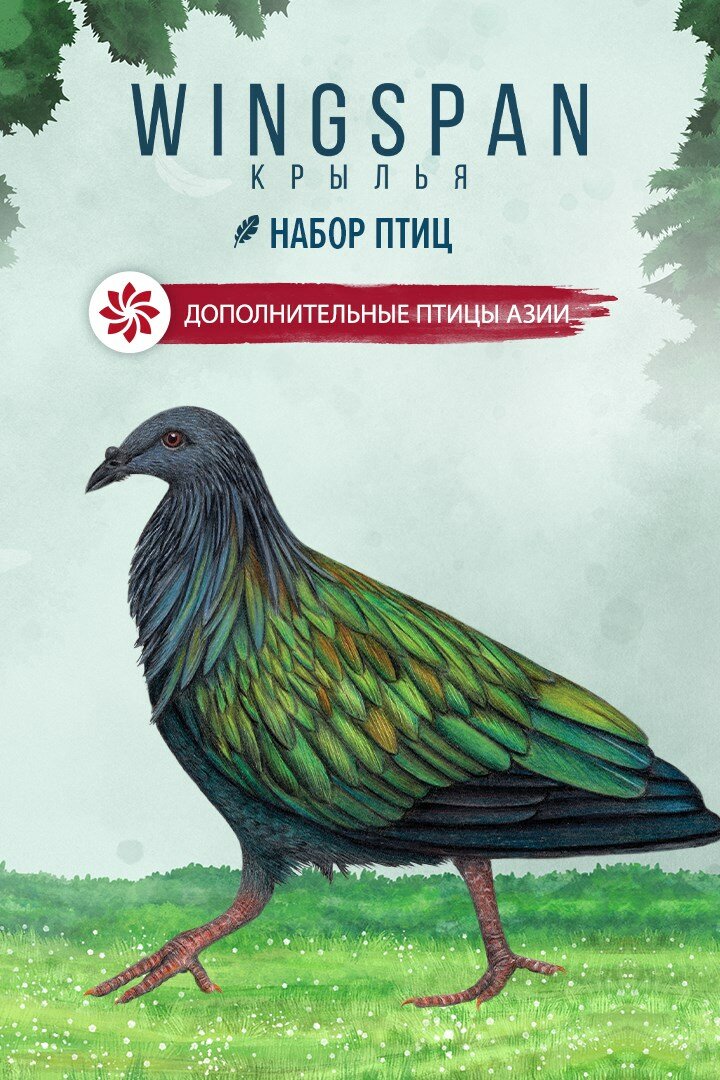 Дополнение Wingspan Bird Pack: Additional Asian Avians — Xbox Series X|S, Xbox One, PC — Ключ активации