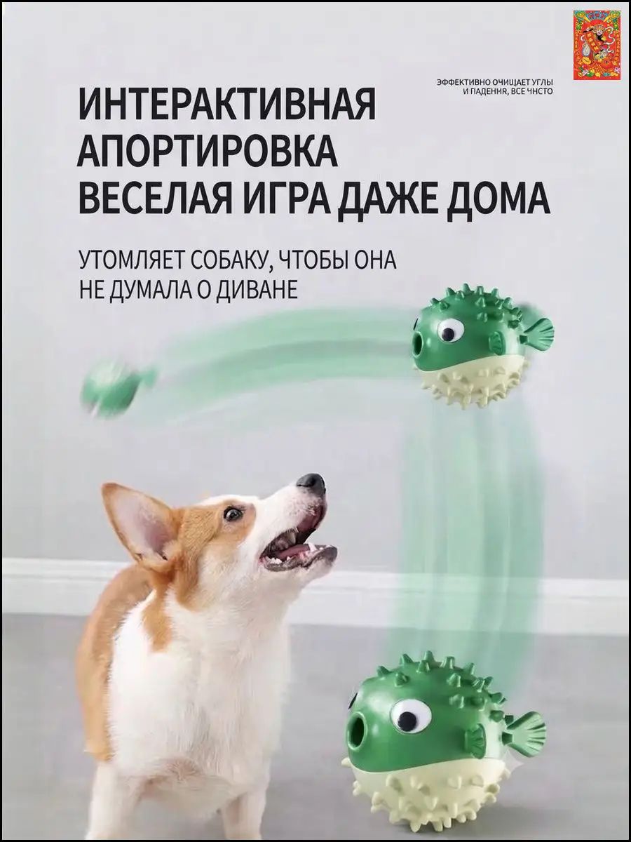Игрушка для собак Рыба-ёж с пищалкой из TPR, мяч для чистки зубов и лакомств, жевательный грызак, зелёный