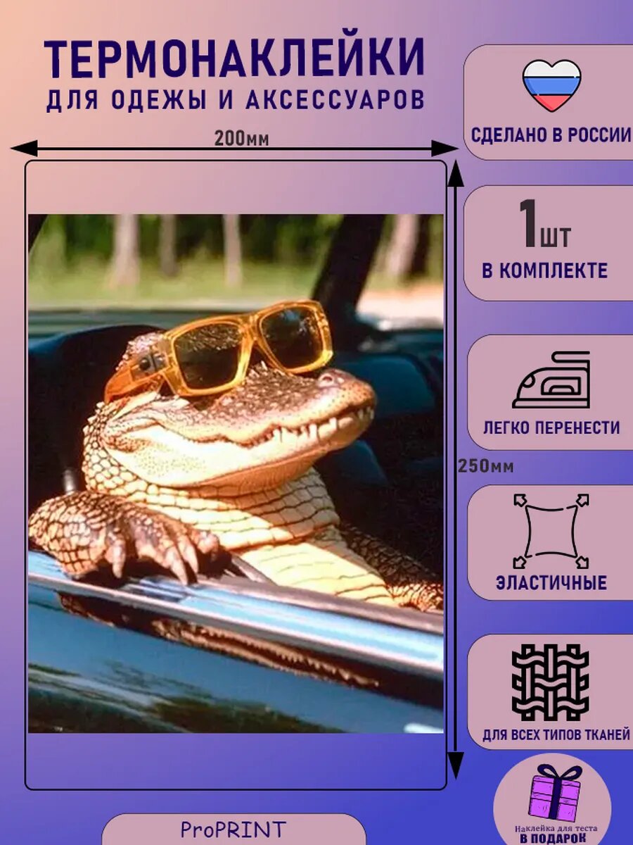 Термонаклейка на одежду взрослая