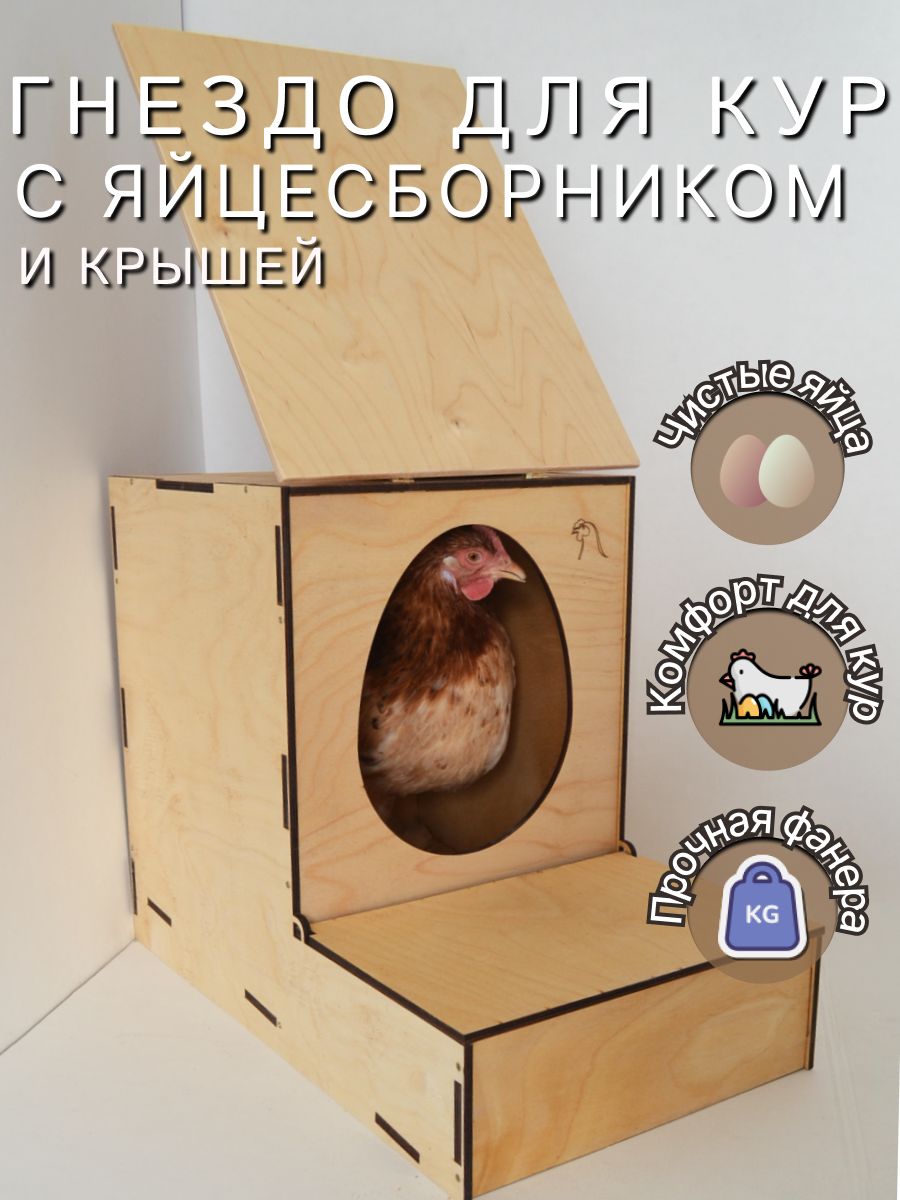 Гнездо для кур-несушек с яйцесборником