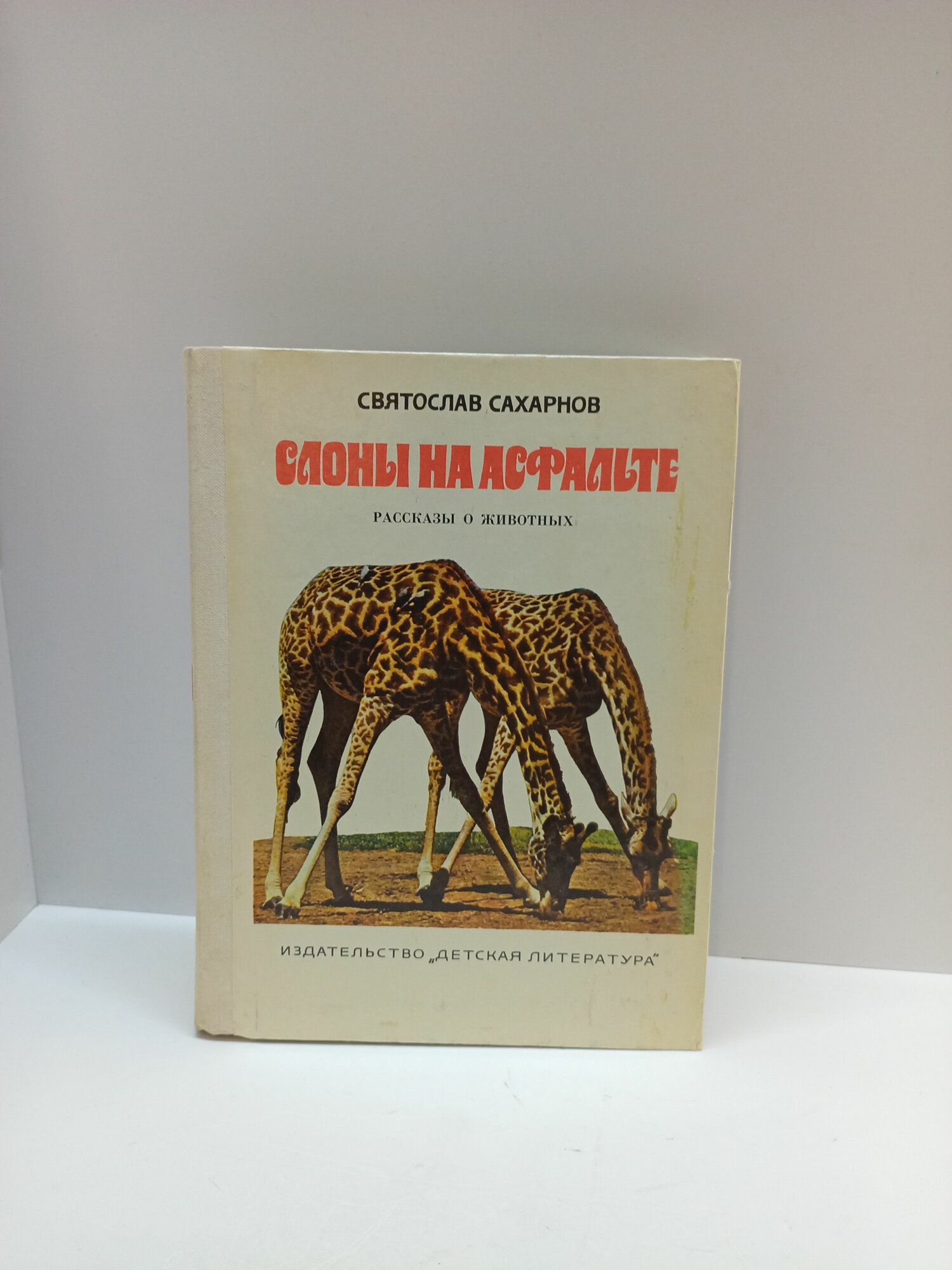 Слоны на асфальте