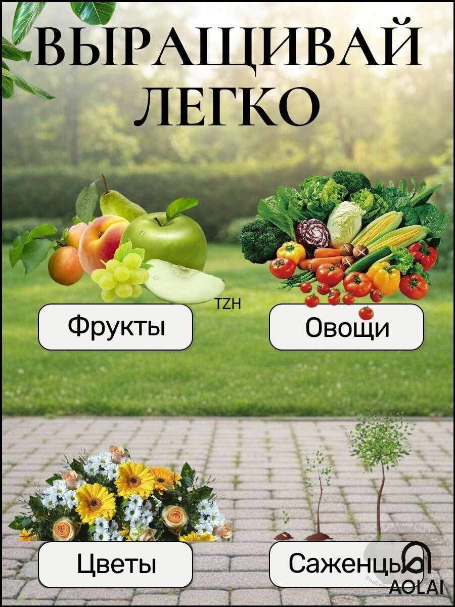 Грядка — фото 1