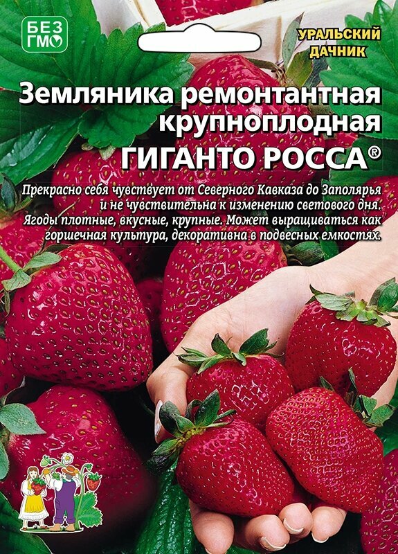 Семена земляники Уральский дачник Гиганто Росса, ранняя, ремонтантная, крупноплодная, 10 шт