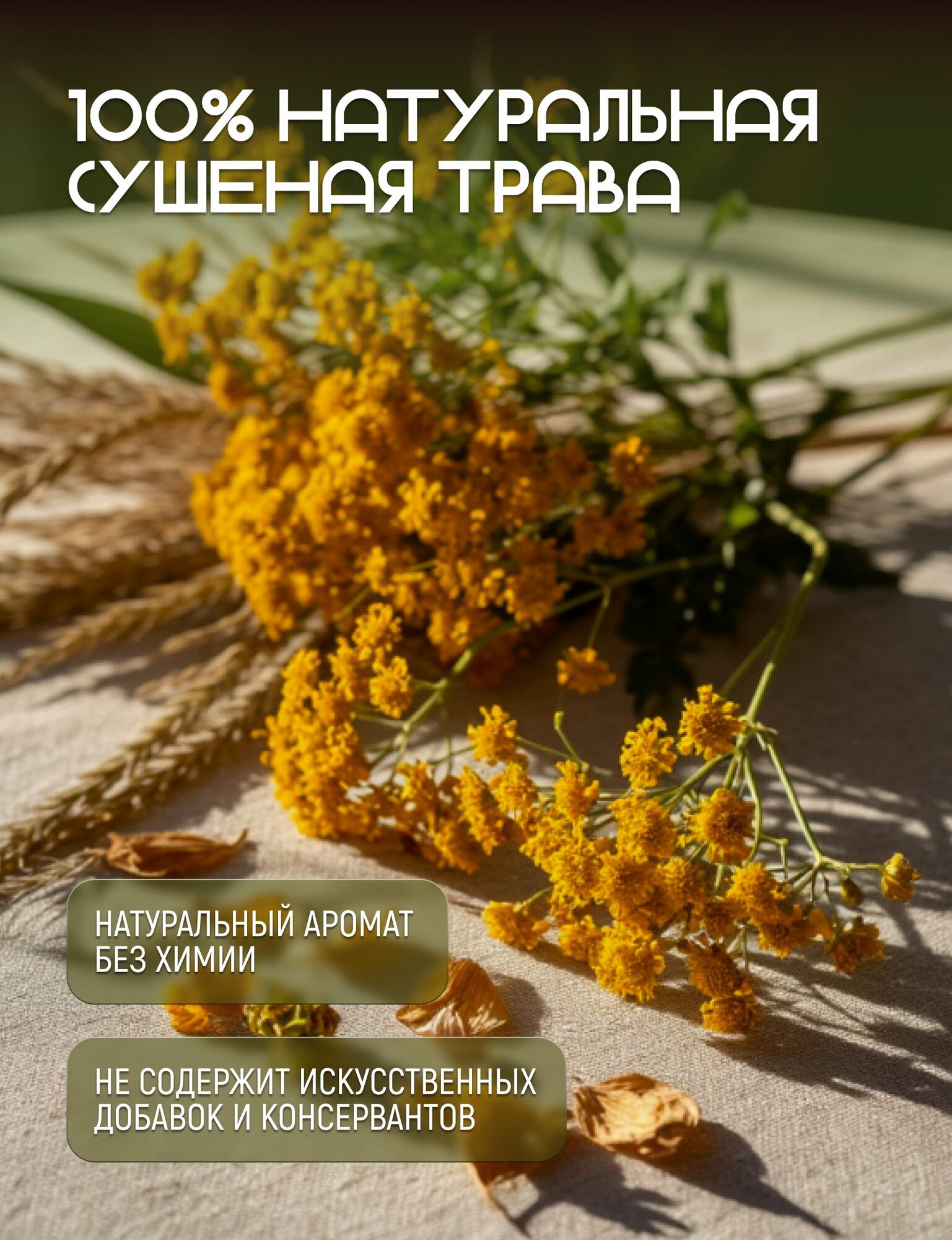 Череда. Травы сушеные — фото 1