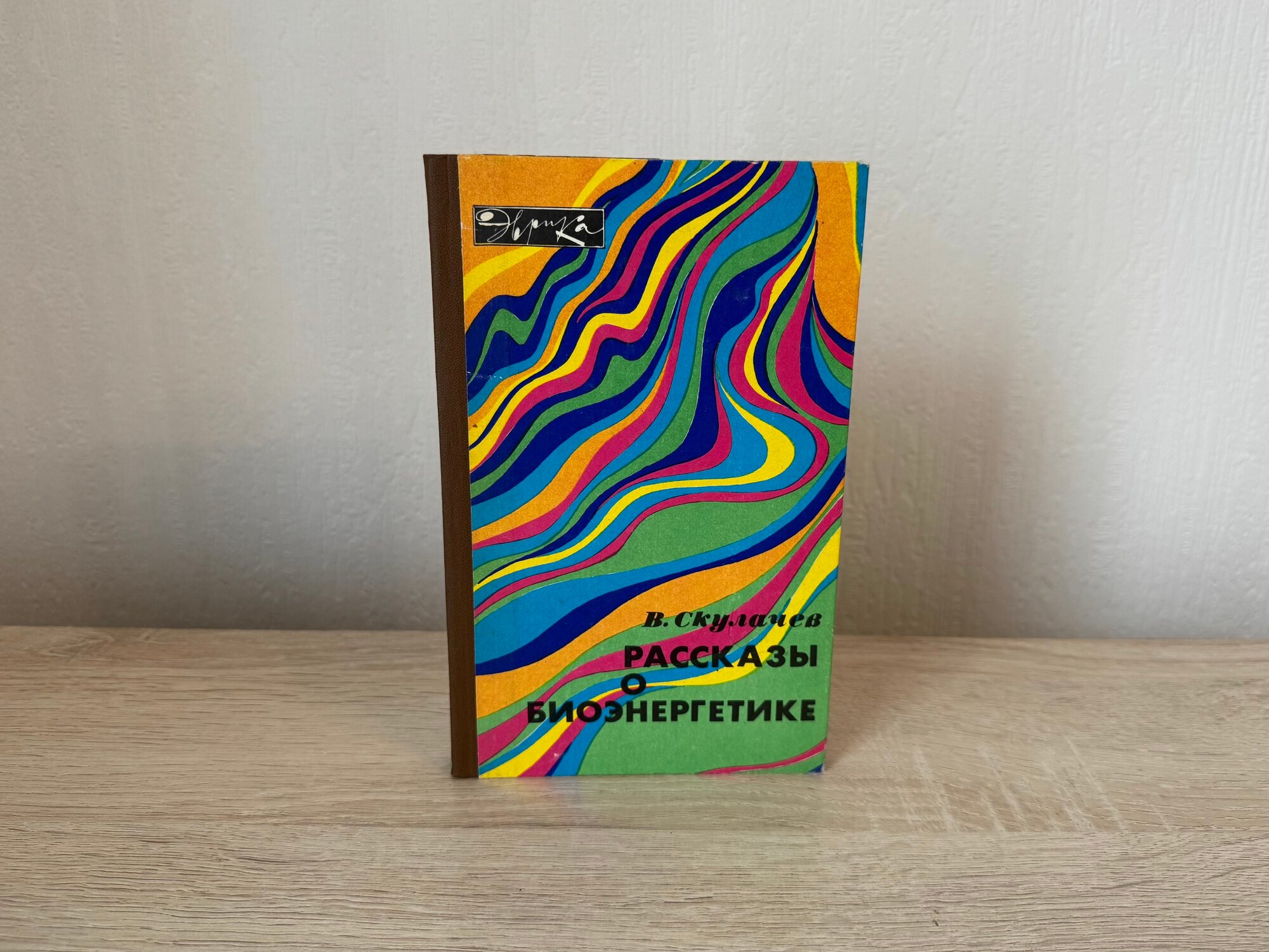 Рассказы о биоэнергетике, 1982 г