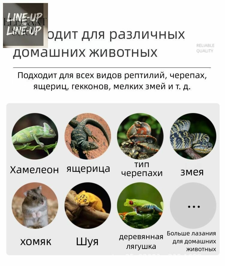 Скидки недели — фото 1