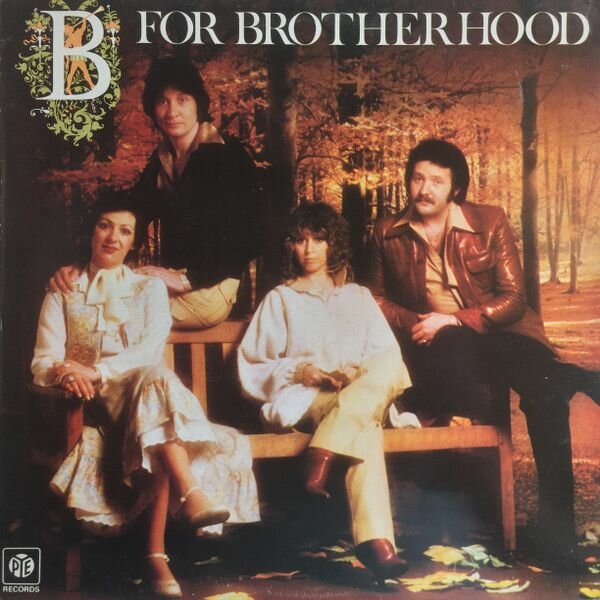 Виниловая пластинка Brotherhood Of Man nm mint-