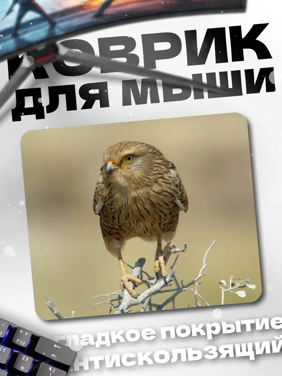 Коврик для мыши Пустельга на ветке