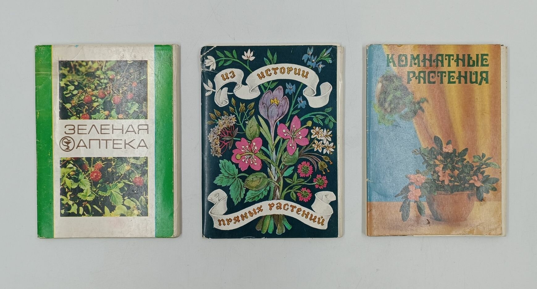 Три набора открыток про растения. Следы бытования. 1983-86 годы.