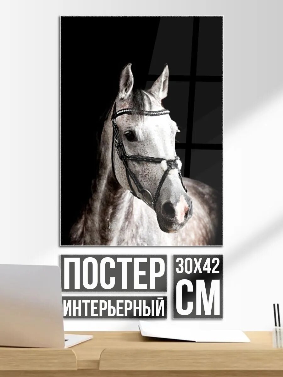 Постер на стену Серный в яблоках конь