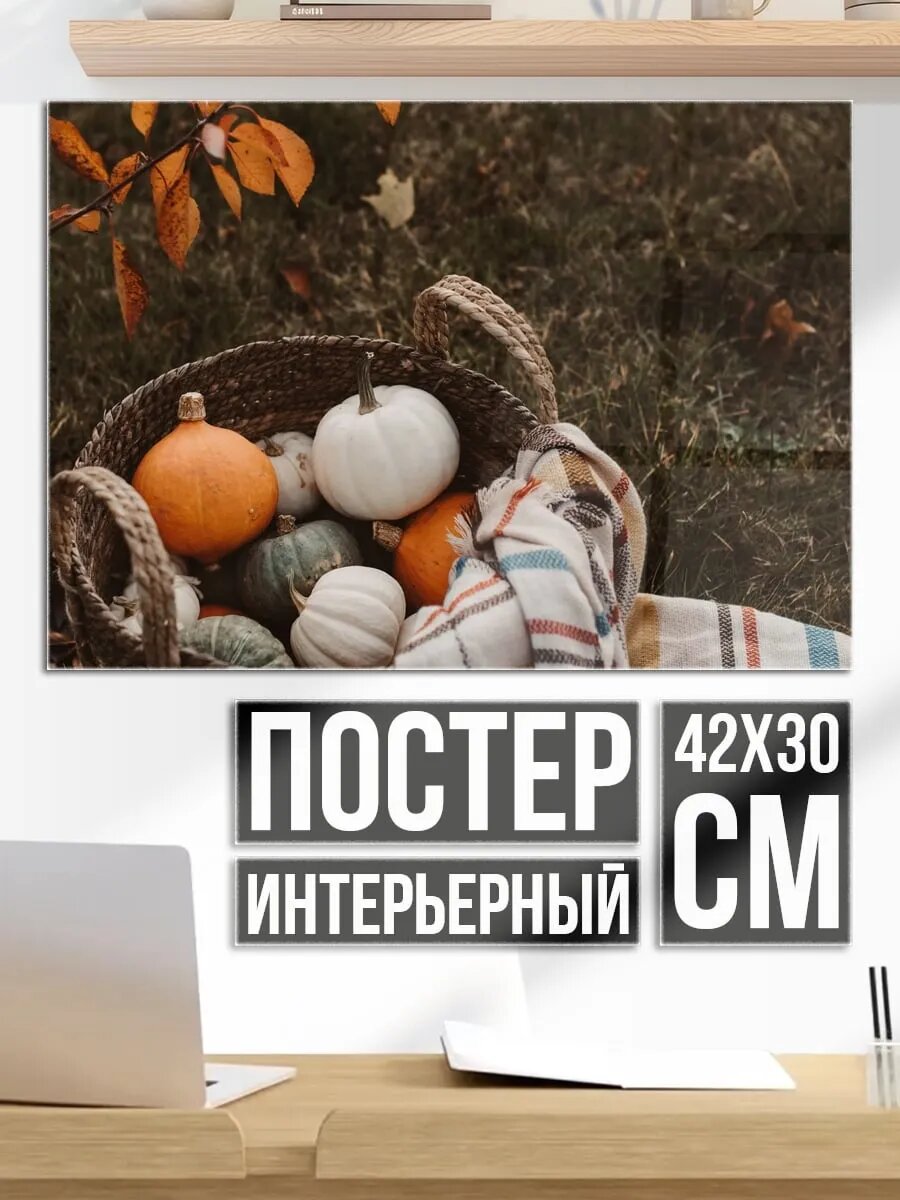 Плакат постер корзина с тыквами