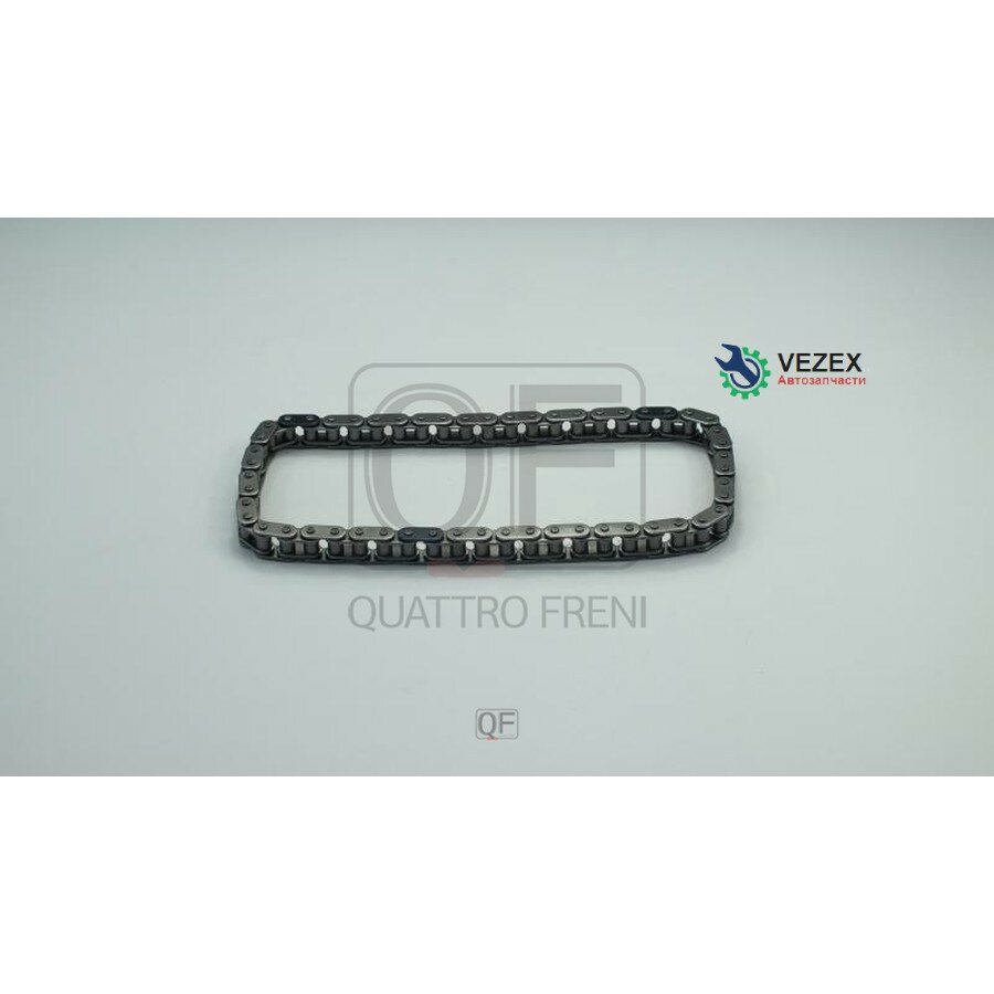 QUATTRO FRENI QF13A00054 Цепь привода грм