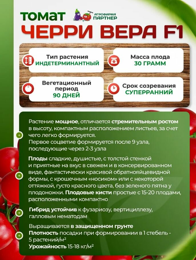Семена томат Вера — фото 1