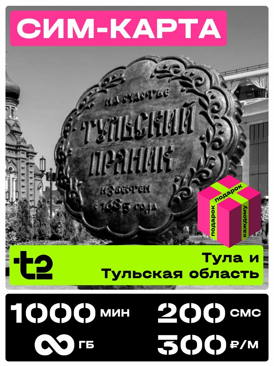 Сим карта теле 2 с безлимитным интернетом. t2 SIM-карта тариф Партнер М Тульская область. 1000 минут за 300 рублей в месяц.