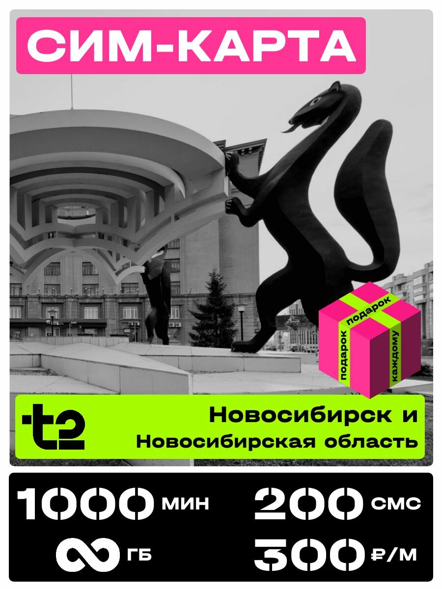 Сим карта теле 2 с безлимитным интернетом. t2 SIM-карта тариф Партнер М Новосибирская область. 1000 минут за 300 рублей в месяц.