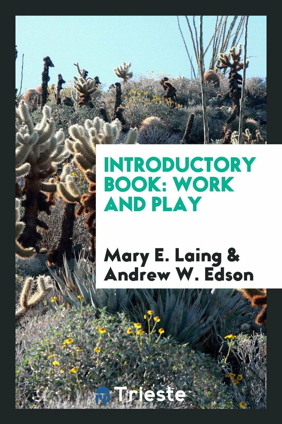 Introductory Book. Work and Play — фото 1