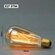 Light Bulb