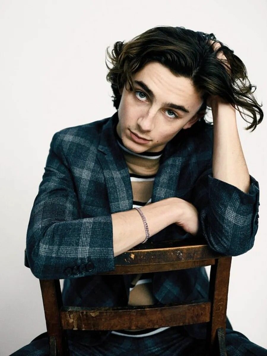 Актер Тимоти Шаламе (Timothee Chalamet). Постер для интерьера на стену (40х50 см)