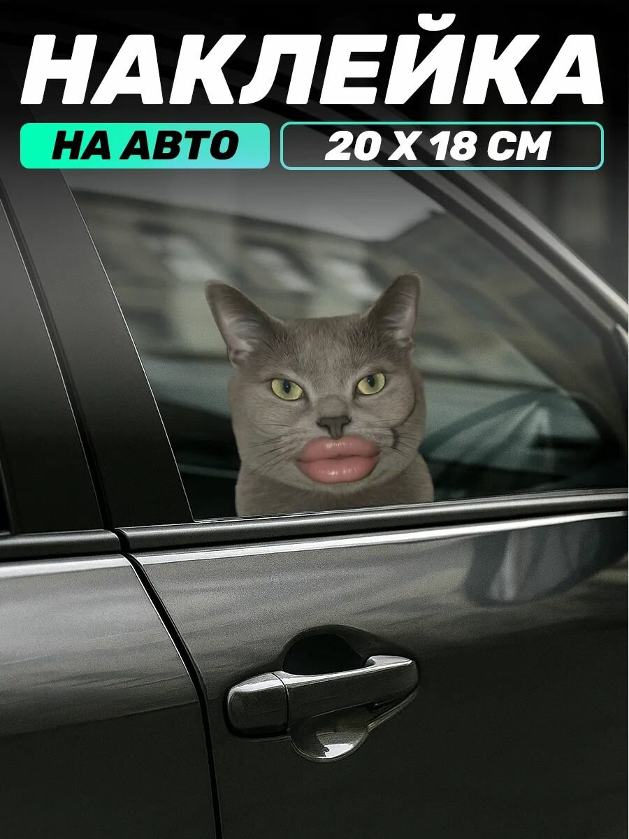 Наклейка на авто губастая кошка