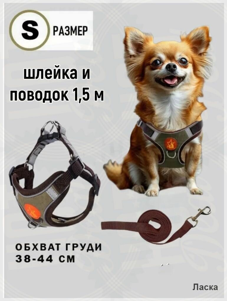 Шлейка