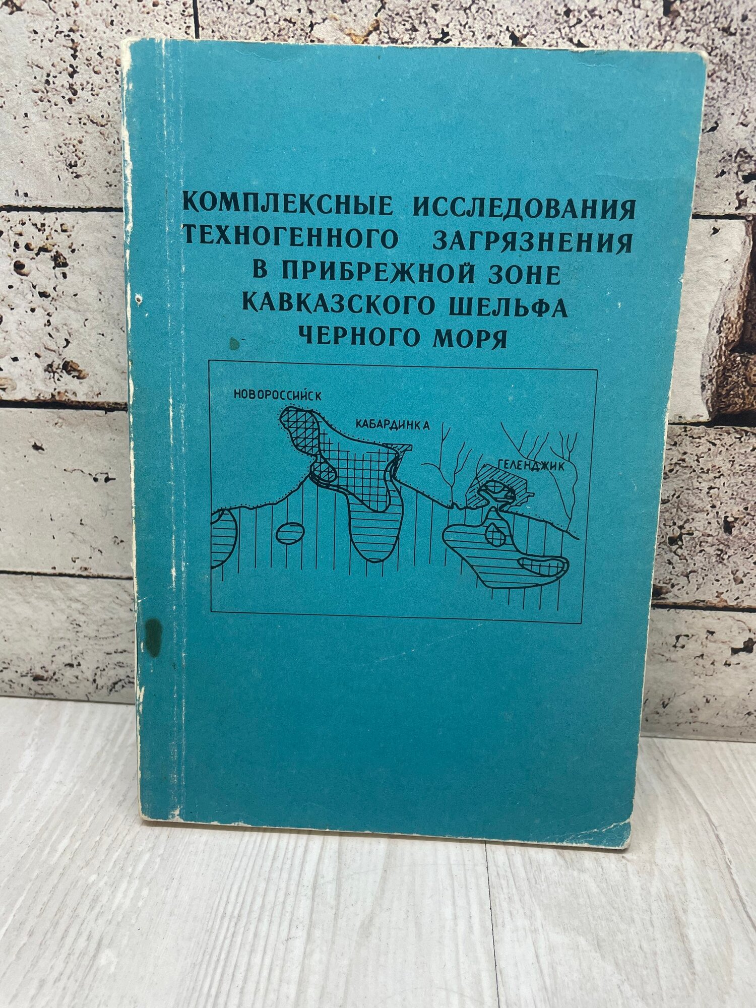 Комплексные исследования техногенного загрязнения в прибрежной зоне Кавказского шельфа Черного моря. ГП "нипиокеангеофизика", 1994