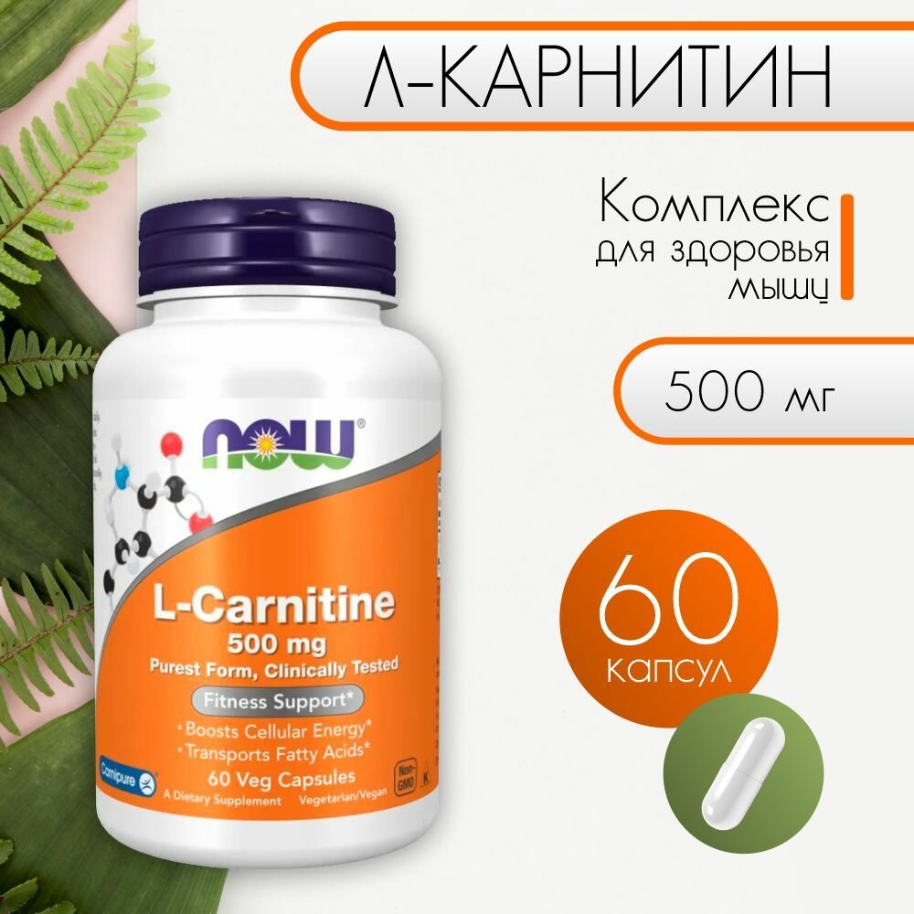 Л Карнитин 500 мг 60 капсул NOW L Carnitin