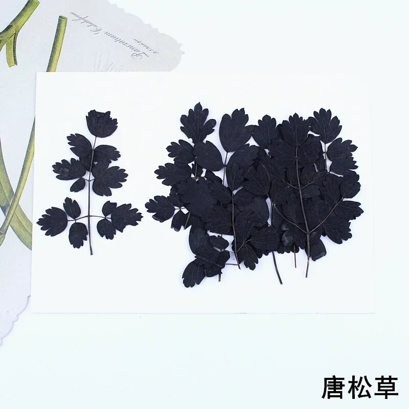 Праздничные закладки с цветами 12 шт. Черный, Tang Songcao