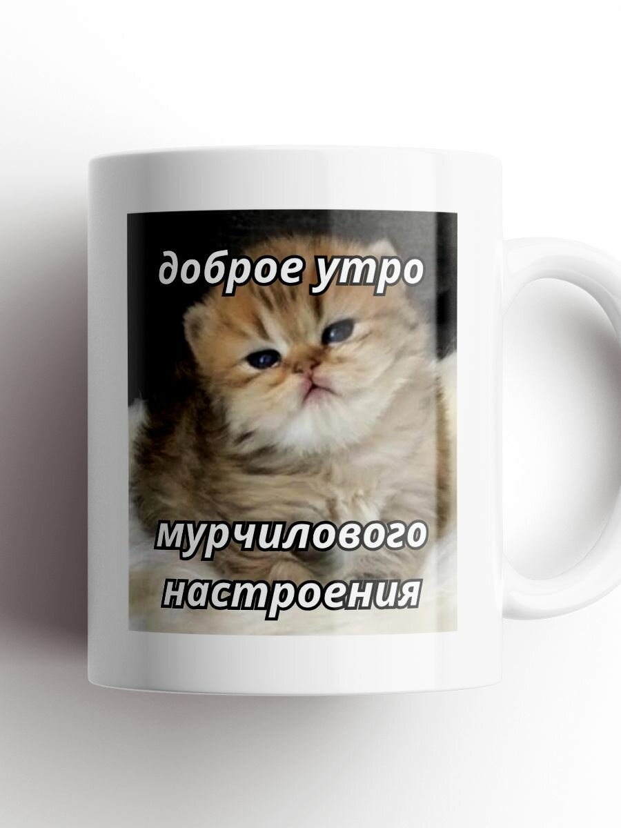 Кружка с приколом котик мем в подарок