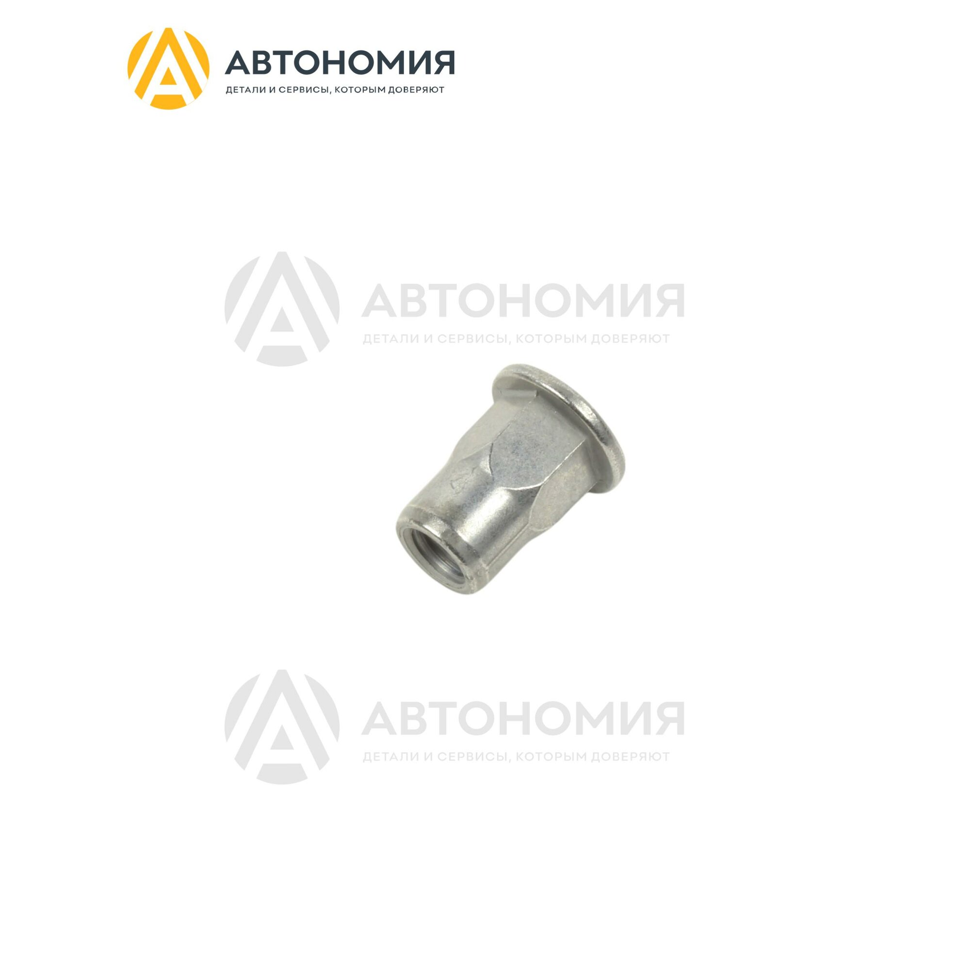 Гайка глухая неподвижная VAG N10 618 501