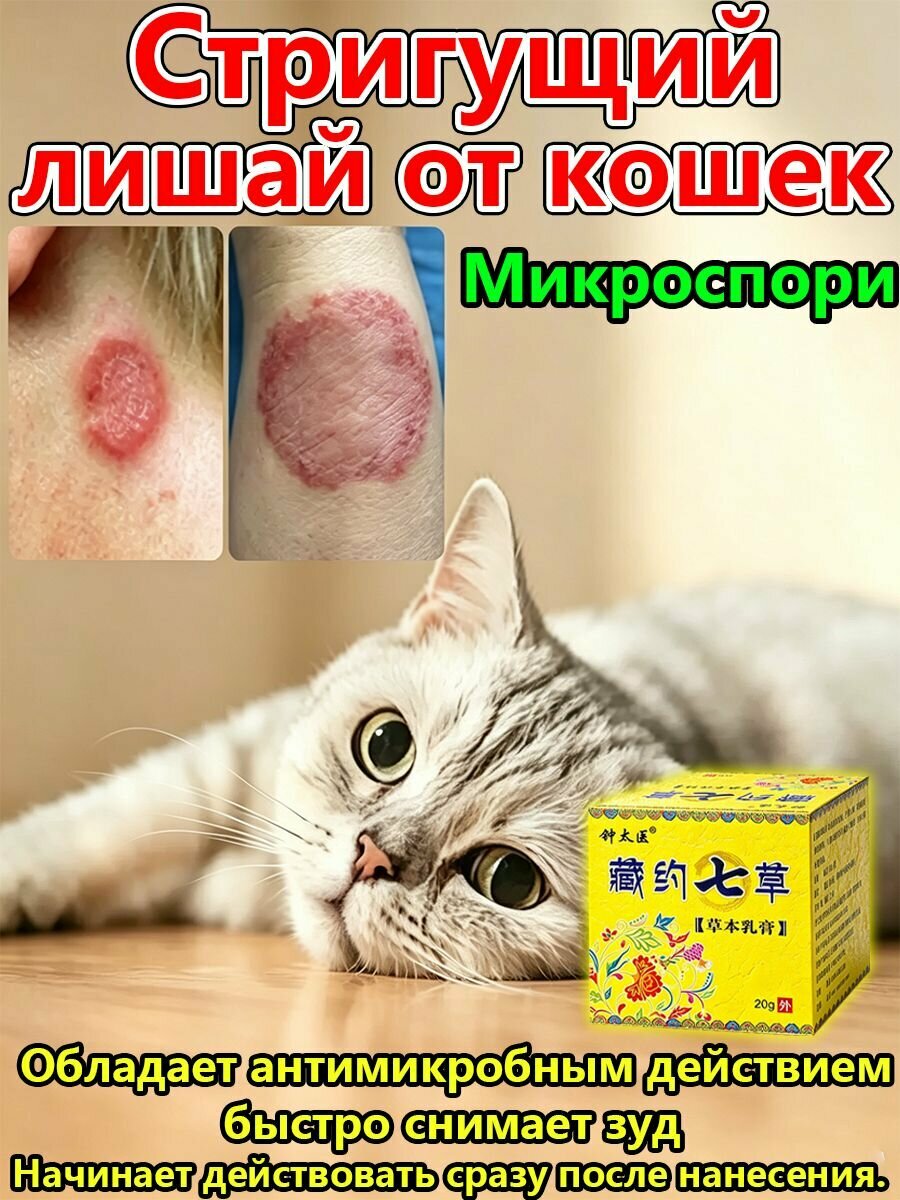 Мазь для лечения лишая, который перешёл от кошки на человека