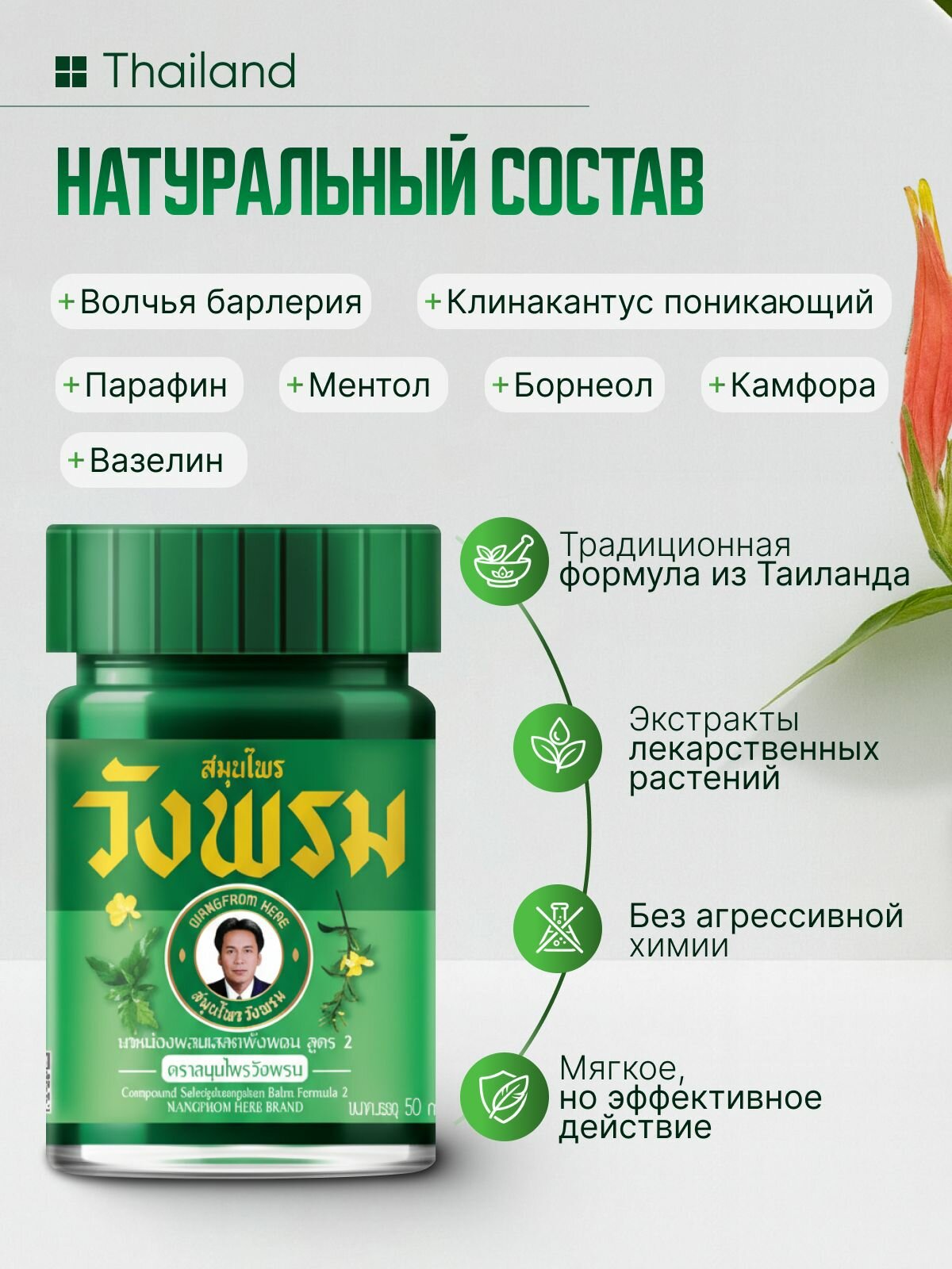 WANG PROM Зеленый Тайский бальзам Ванг Пром (THAI HERBAL GREEN BALM) 50 гр.