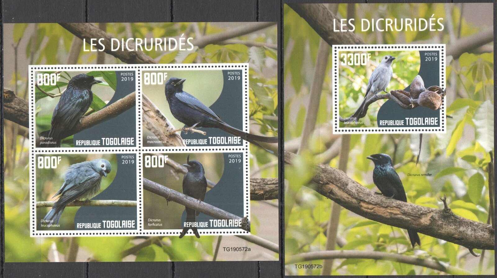 Марки 2019 год Togo Дронго Птицы Фауна #7850-53-93+Bl1813 Mnh