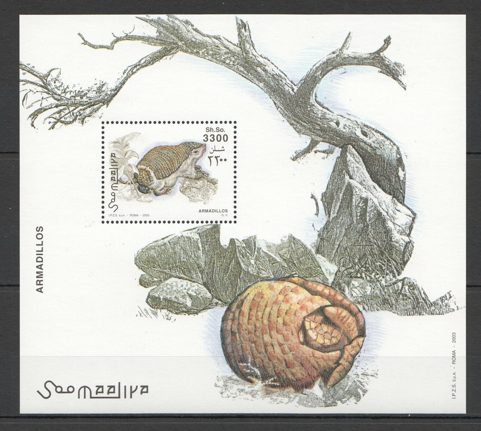 Марки 2003 год Сомали Броненосцы Фауна Дикие Животные 1Bl Mnh
