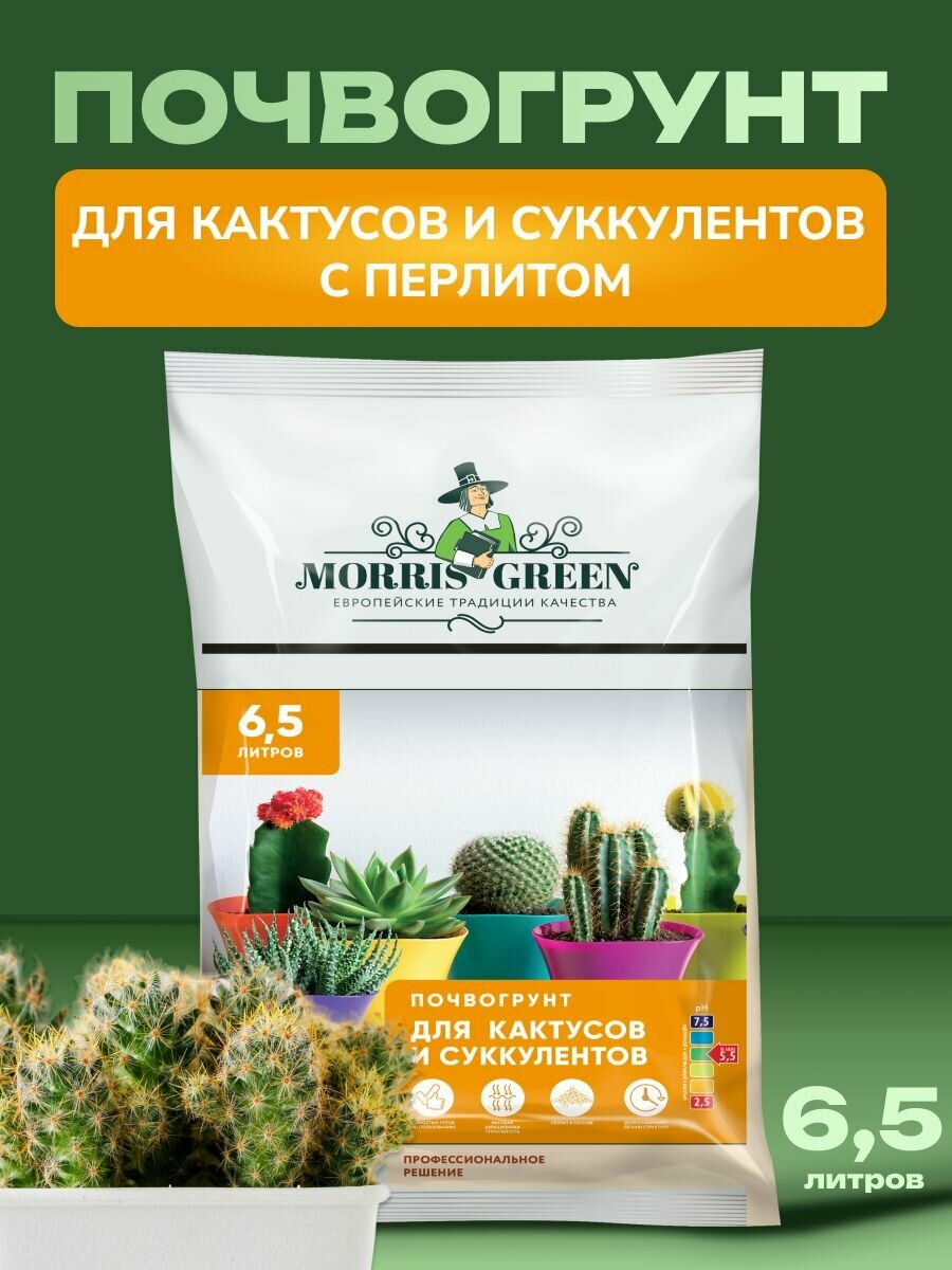 Грунт для Кактусов и Суккулентов с перлитом (30%) грунт для кактусов грунт для суккулентов земля для суккулентов