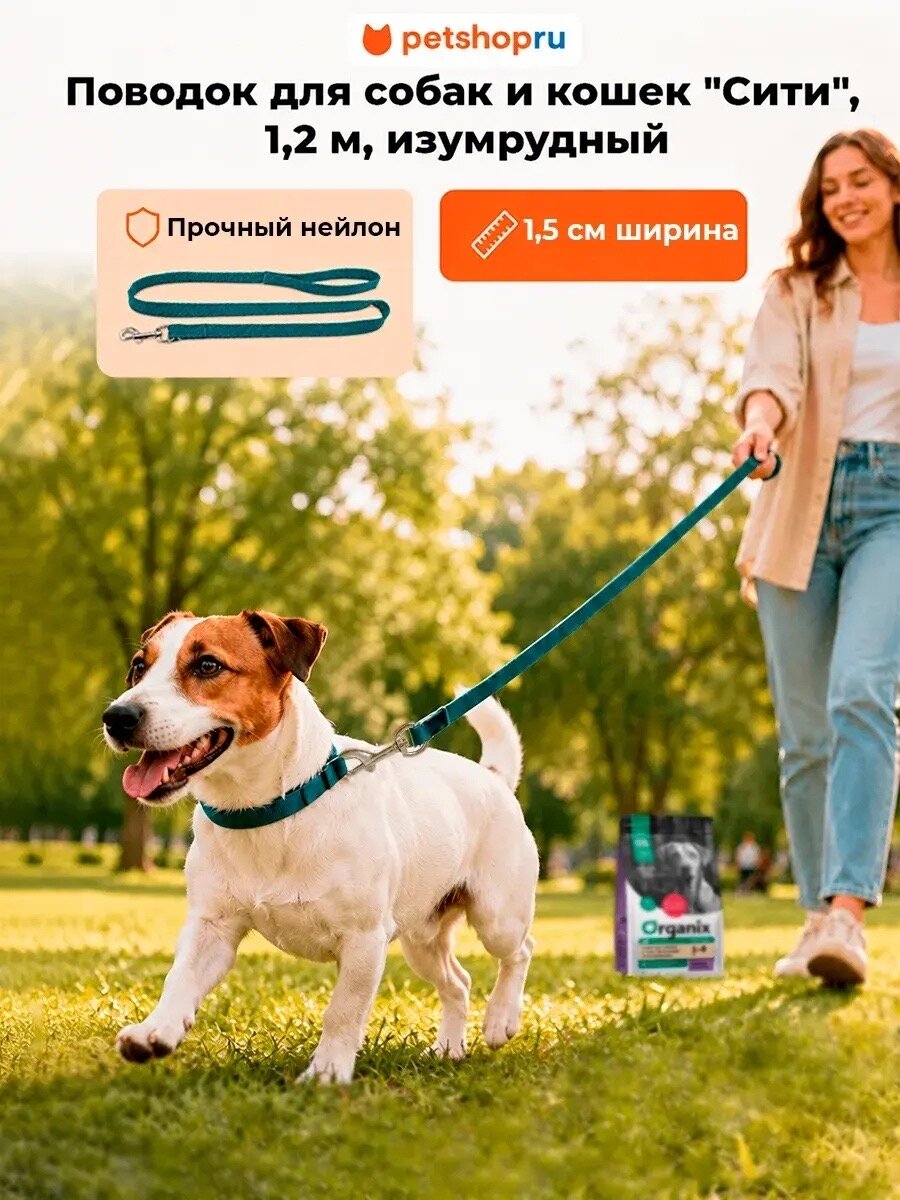 Yami Yami амуниция Поводок "Сити" для собак, изумрудный, 1.2 м