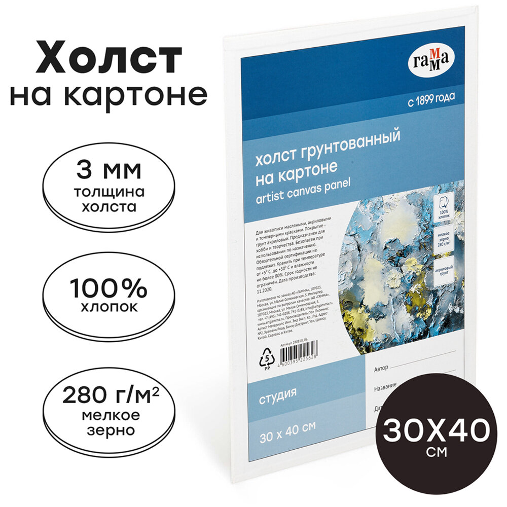 Холст для рисования Гамма "Студия", на картоне, мелкое зерно, 30 х 40 см