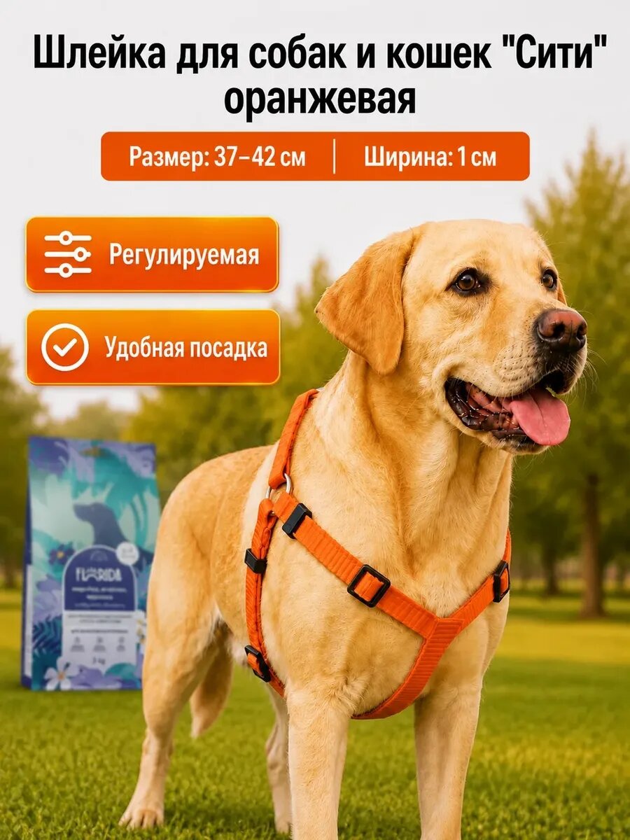 Yami Yami амуниция Шлейка "Сити" для собак, оранжевая, XXS