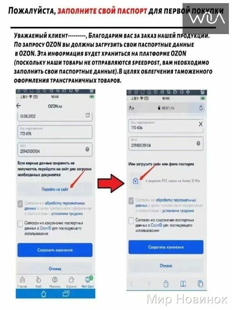 Рюкзак для кошек Cakar pet зеленый космический шар прозрачный с карманами для прогулок, переноска — фото 1