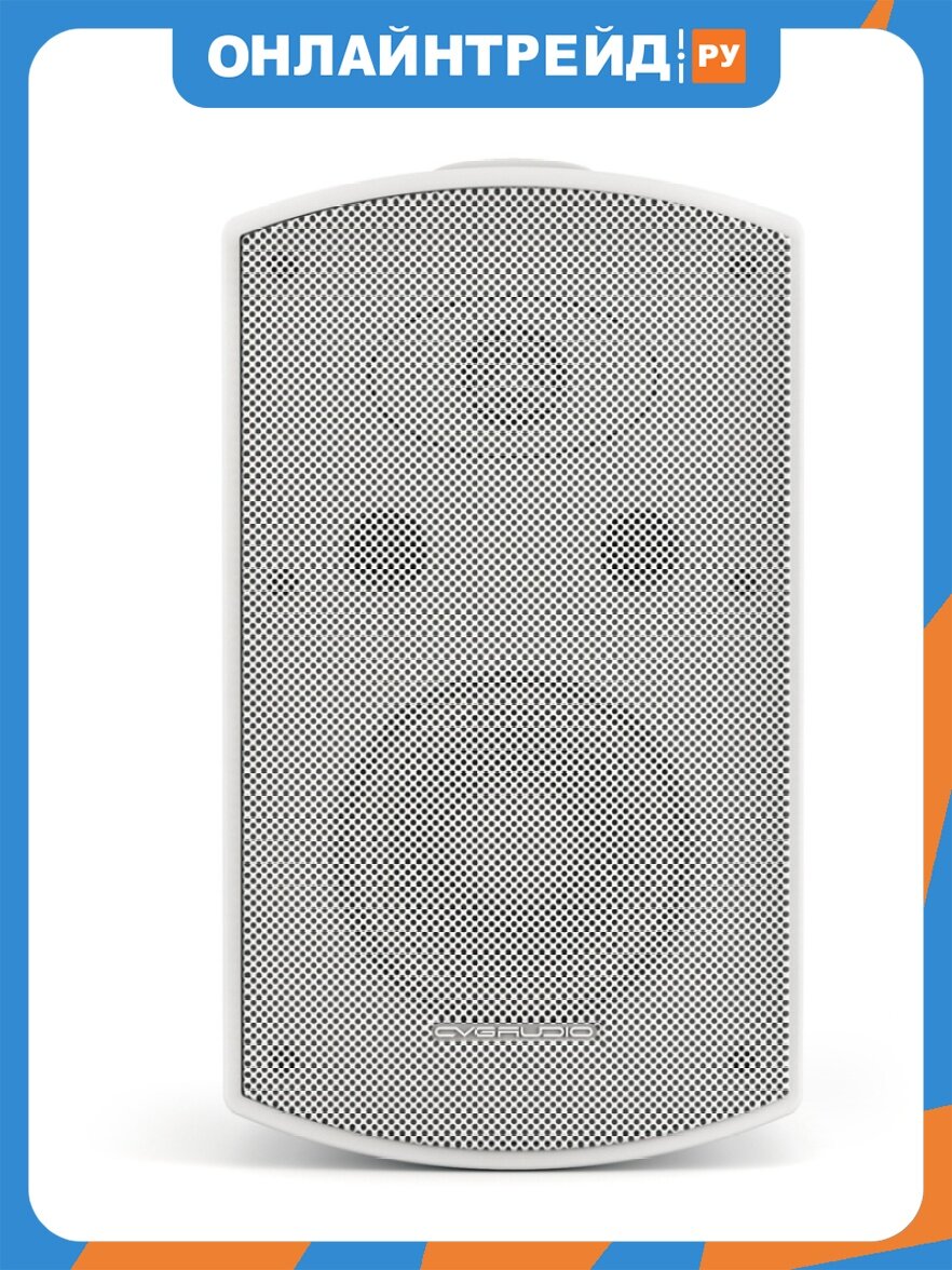 Акустическая система Cvgaudio RF416TW, настенная, двухполосная