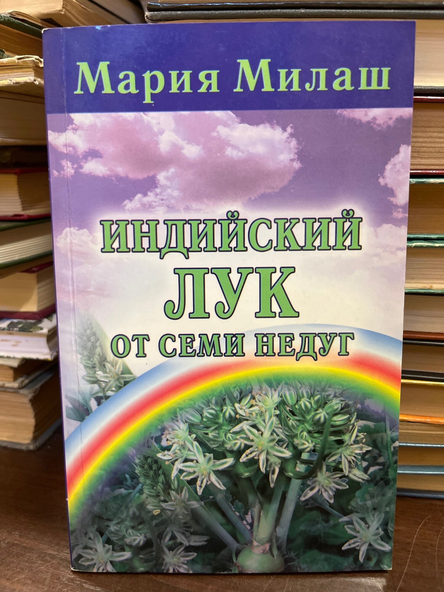 Индийский лук от семи недуг