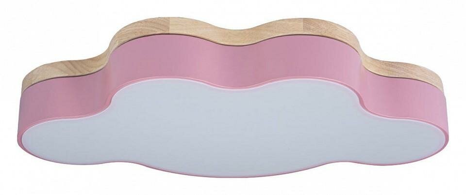 Накладной светильник Loft it Axel 4 10005 30 Pink цвет плафона подвески Белый, цвет арматуры Розовый